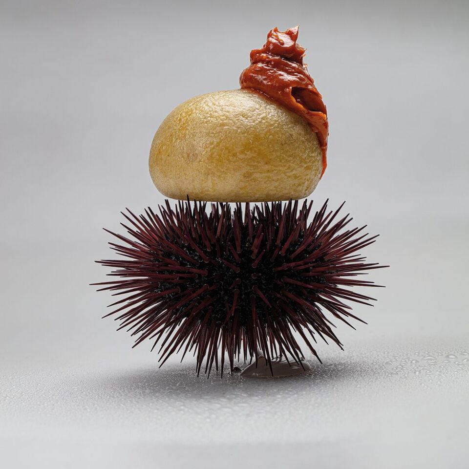 Carte MICHELIN Gérone - ViaMichelin