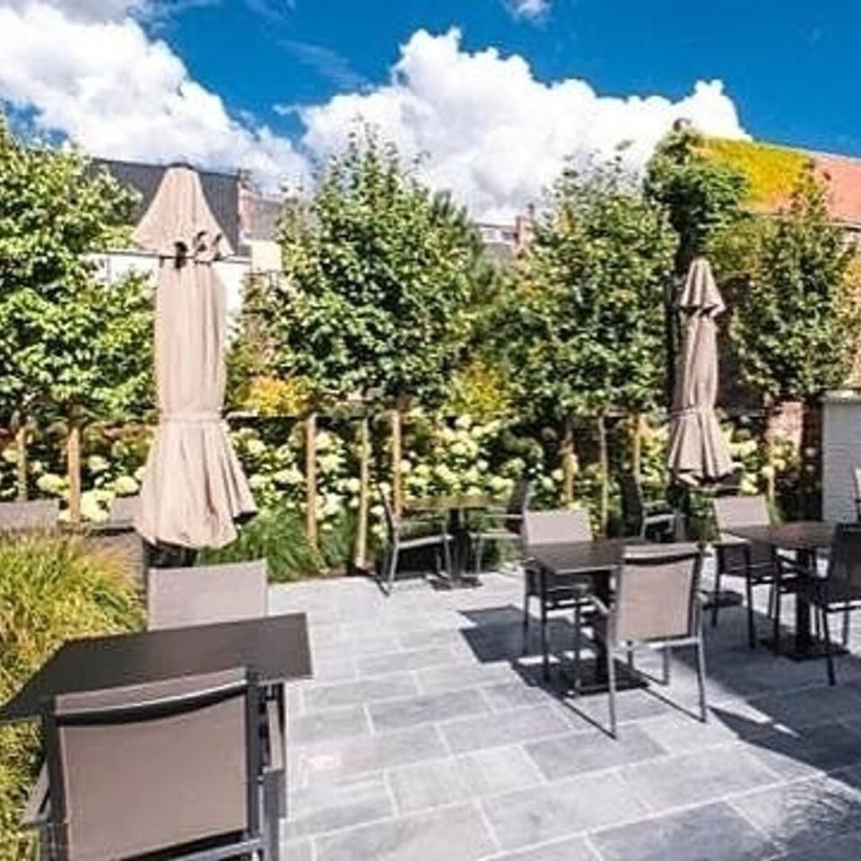 Restaurants Ronse: Gids van de beste restaurants van Ronse