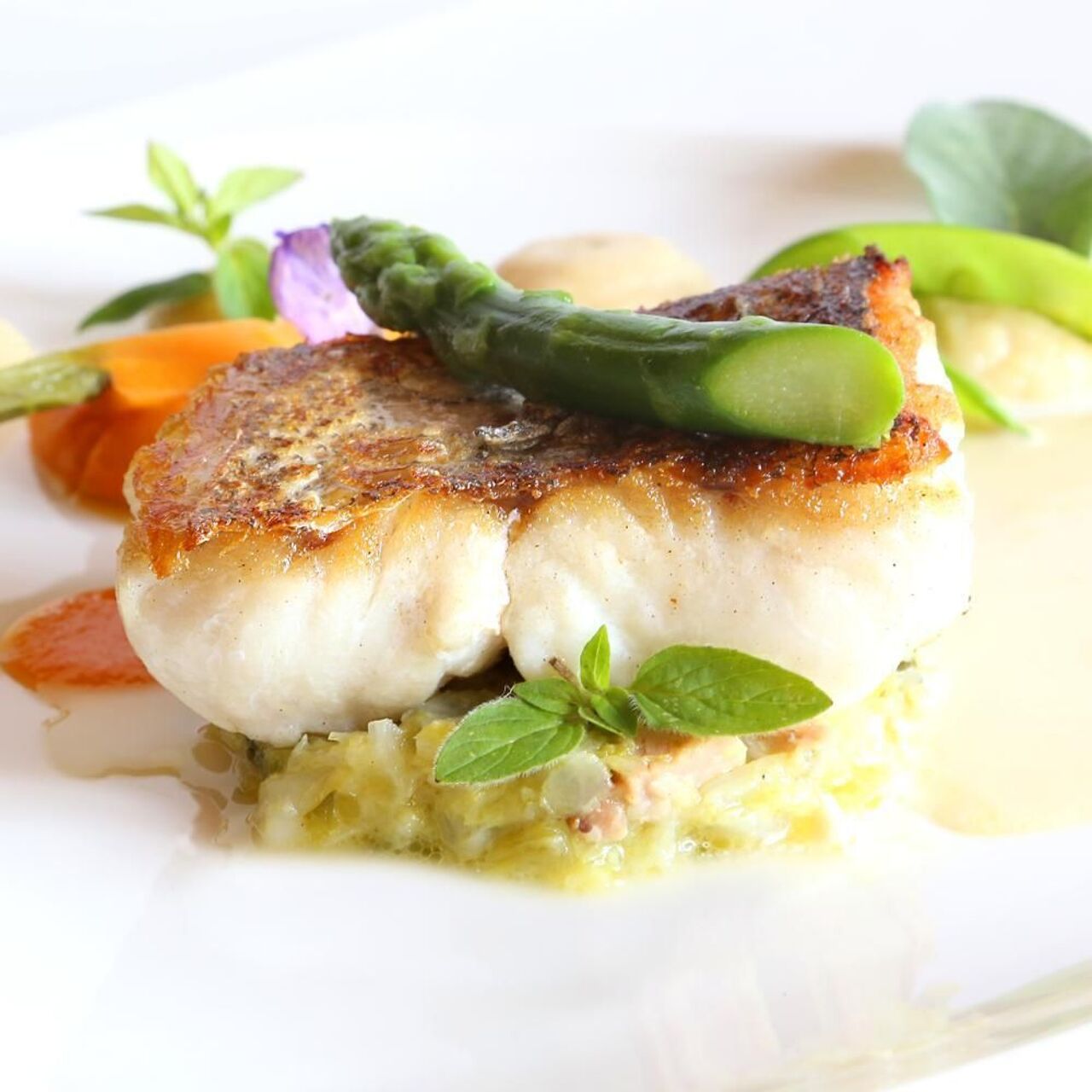 Carte MICHELIN Crozon - ViaMichelin