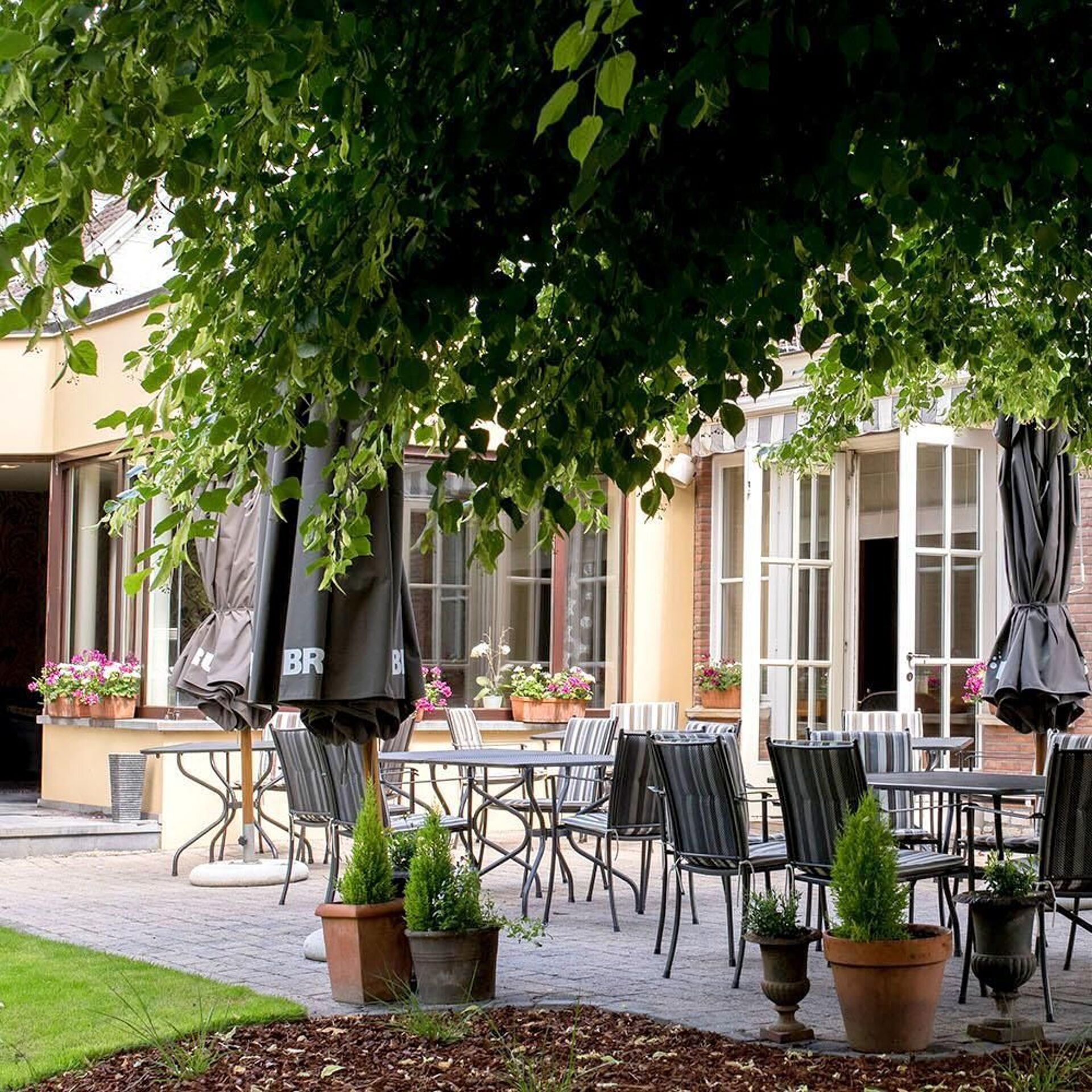 Restaurants Aalst: Gids van de beste restaurants van Aalst