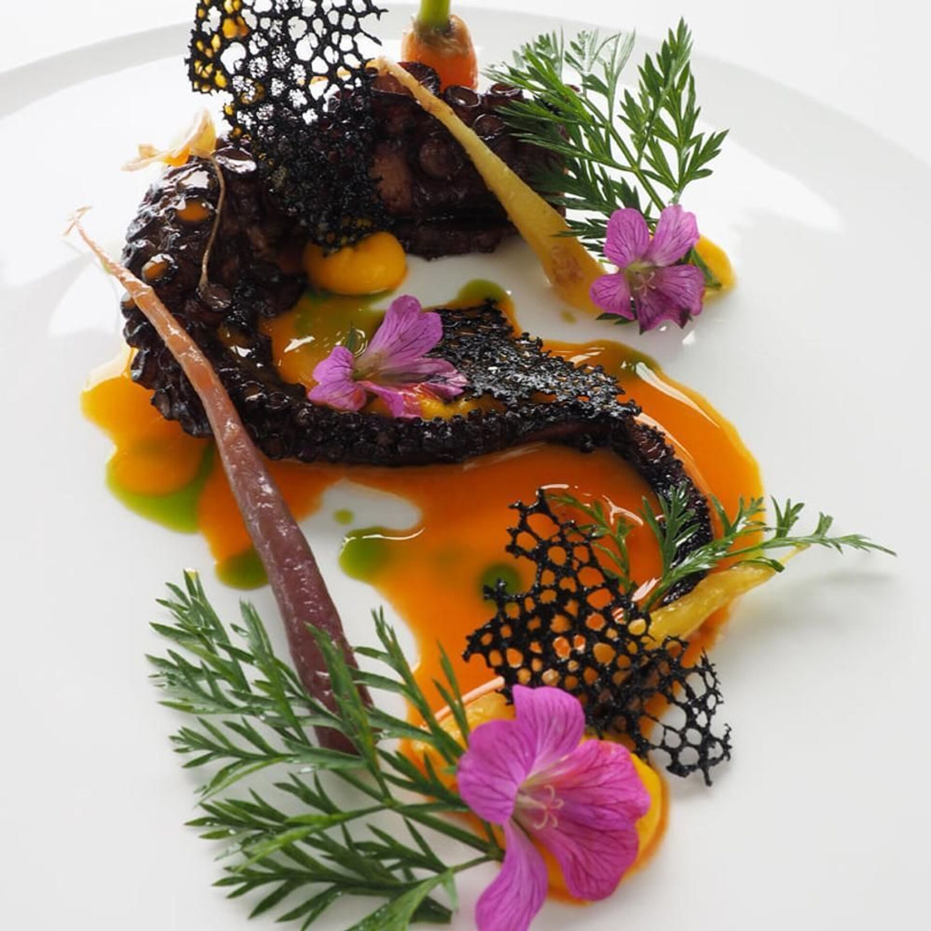 Carte MICHELIN Carantec - ViaMichelin