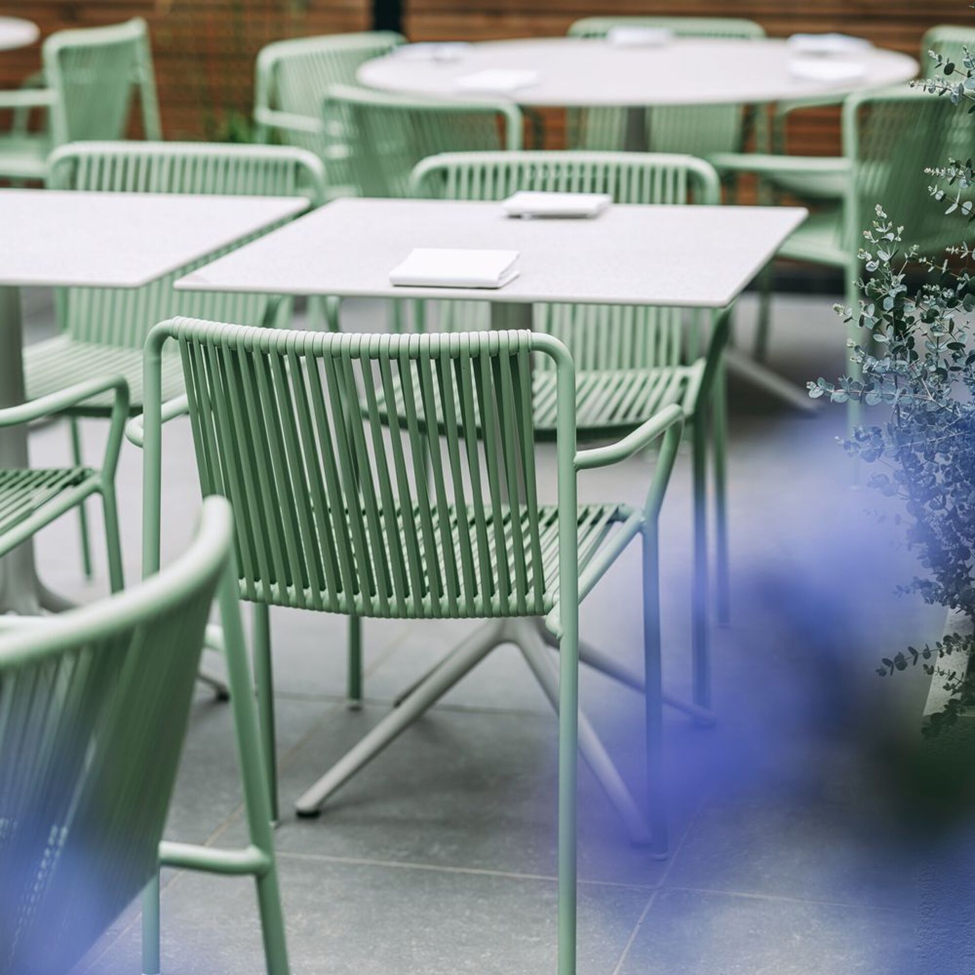 Cécile - Restaurant Roosdaal - ViaMichelin