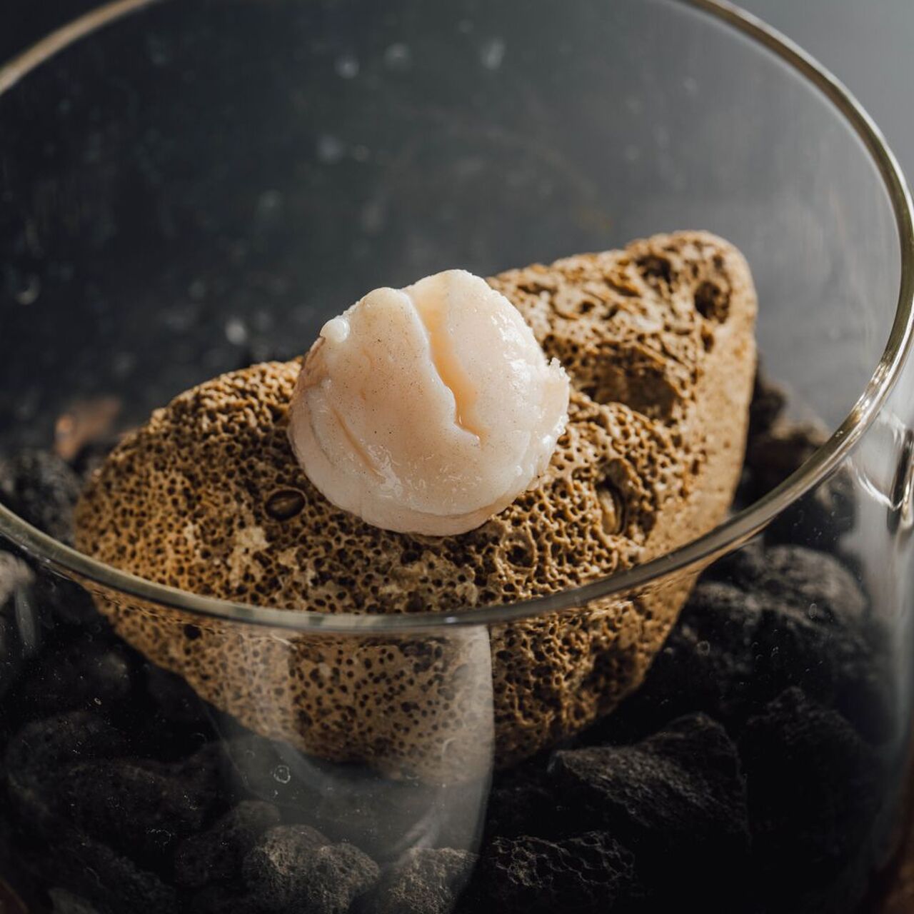 MICHELIN Portoroz map - ViaMichelin