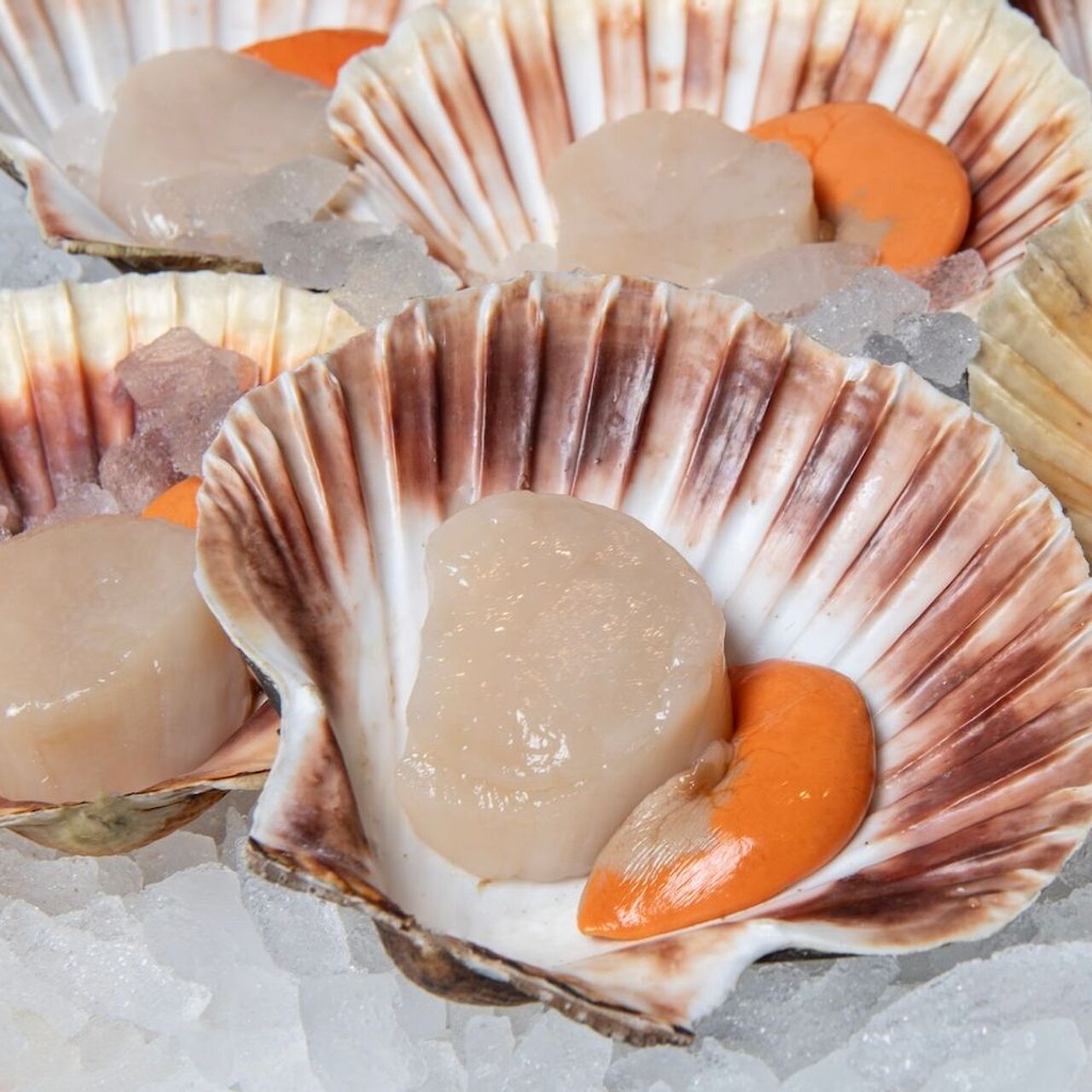 MICHELIN Invergordon map - ViaMichelin