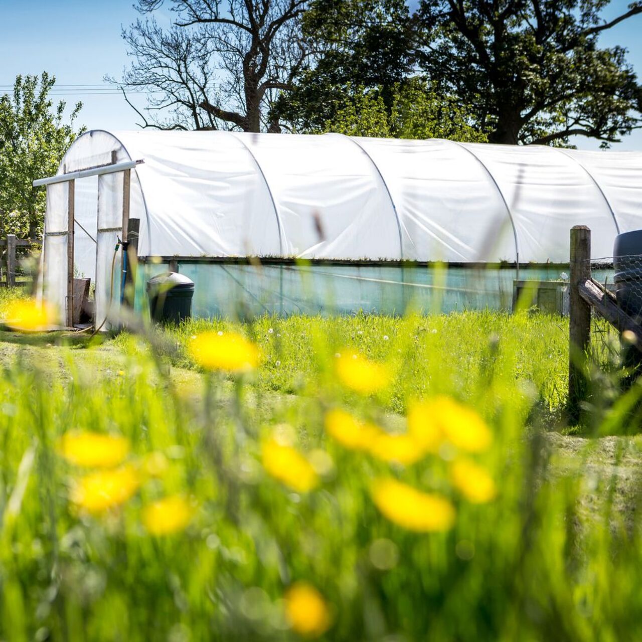 Restaurants Folkingham: Gids van de beste restaurants van Folkingham