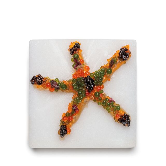 Carte MICHELIN Gérone - ViaMichelin